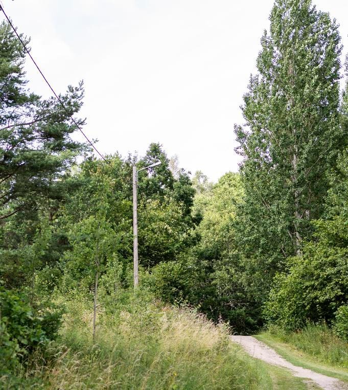 Motionera i våra elljus- och motionsspår | Vetlanda kommun