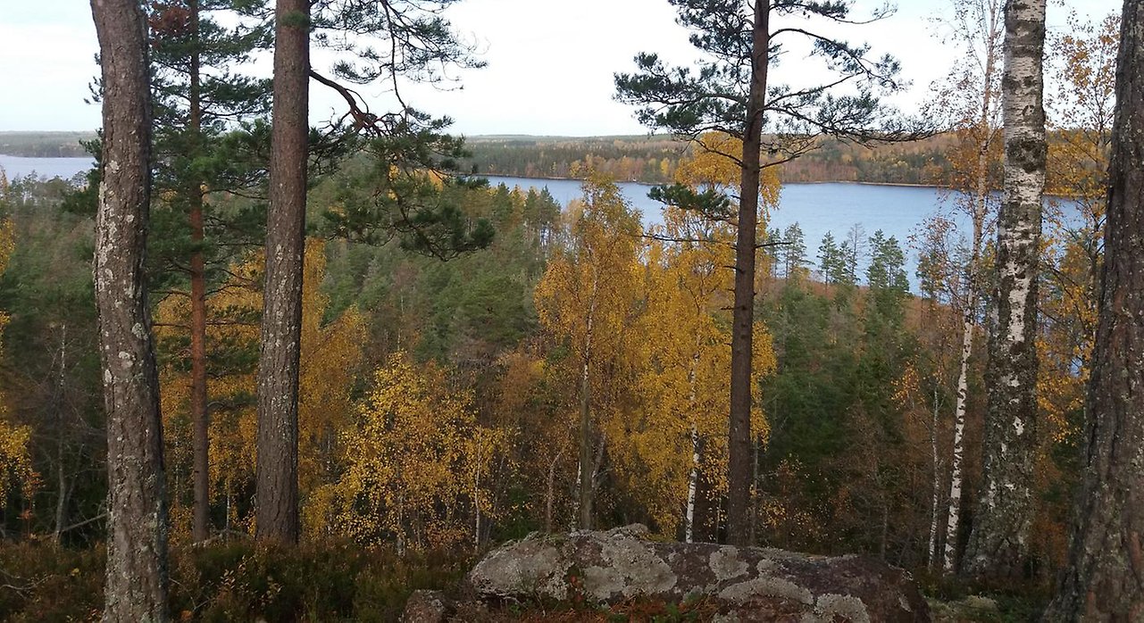 Drags udde | Vetlanda kommun